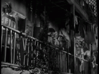 Soaring GIFs - Get the best gif on GIFER