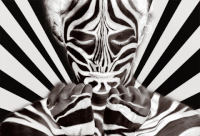 White power GIFs - Get the best gif on GIFER