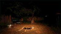 Boogeyman GIFs - Get the best gif on GIFER