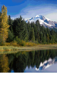 Composite GIFs - Get the best gif on GIFER