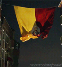 Galatasaray GIFs - Get the best gif on GIFER