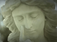 Sniffing GIFs - Get the best gif on GIFER