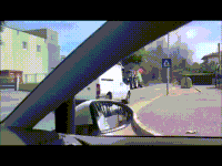 Flamboyant GIFs - Get the best gif on GIFER