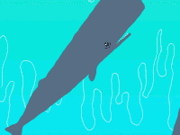Blue whale GIFs - Obtenez le meilleur gif sur GIFER