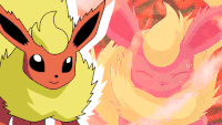 Eeveelution GIFs - Get the best gif on GIFER