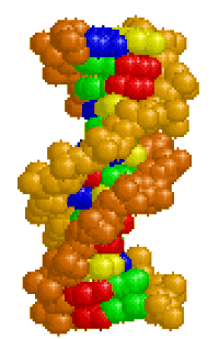 Dna GIFs - Get the best gif on GIFER