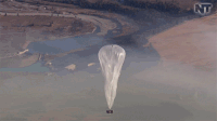 Loon GIFs - Get the best gif on GIFER