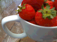 Comparison GIFs - Get the best gif on GIFER