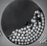 Mill GIFs - Get the best gif on GIFER