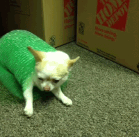 Socorro GIFs - Get the best gif on GIFER