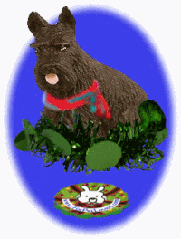 Scotty GIFs - Get the best gif on GIFER