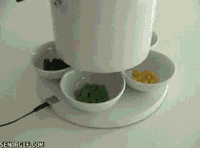 Ocd GIFs - Get the best gif on GIFER