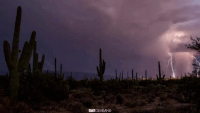 Thunderstorms GIFs - Get the best gif on GIFER