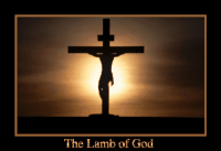 God GIFs - Get the best gif on GIFER