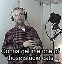 Postman GIFs - Get the best gif on GIFER