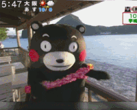 Kumamon GIFs - Get the best gif on GIFER