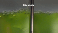 Dioxide GIFs - Get the best gif on GIFER