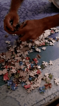 Puzzles GIFs - Get the best gif on GIFER