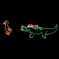 Gator GIFs - Get the best gif on GIFER