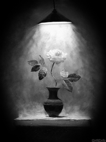 Paint it black GIF - Conseguir o melhor gif em GIFER