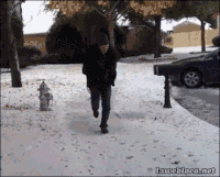 Weeeeee GIFs - Get the best gif on GIFER