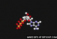 Atp GIFs - Get the best gif on GIFER