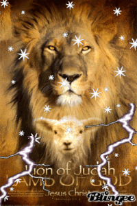 Lamb GIFs - Get the best gif on GIFER