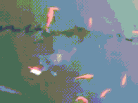 Bunch GIFs - Get the best gif on GIFER