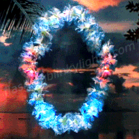 Aloha GIFs - Get the best gif on GIFER