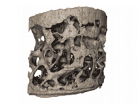 Bone GIFs - Get the best gif on GIFER