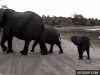 Ahchoo GIFs - Get the best gif on GIFER