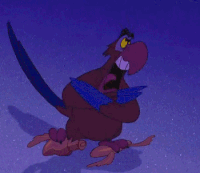 Molting GIFs - Get the best gif on GIFER