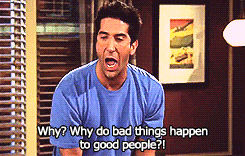 Why 90s why GIF - Conseguir o melhor gif em GIFER