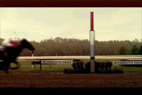 Trial GIFs - Get the best gif on GIFER