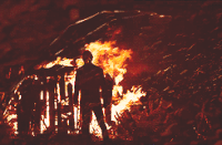 Guerra GIFs - Get the best gif on GIFER
