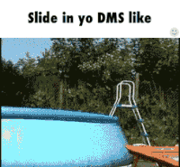 Dms GIFs - Get the best gif on GIFER
