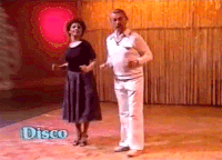 Disko GIFs - Get the best gif on GIFER