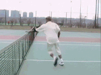 Behavior GIFs - Get the best gif on GIFER