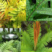 Botany GIFs - Get the best gif on GIFER