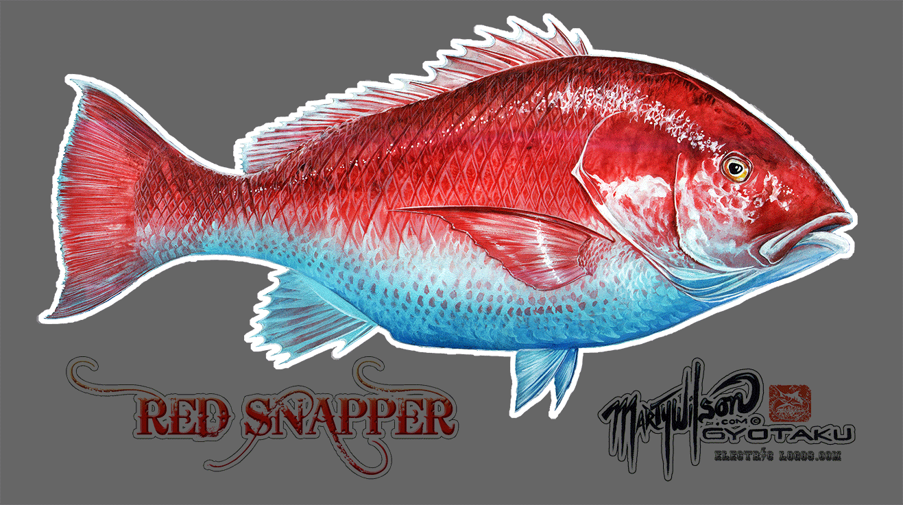 Snapper GIFs - Get the best gif on GIFER