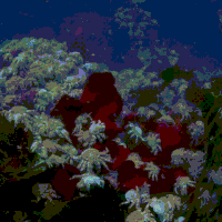 Gathering GIFs - Get the best gif on GIFER