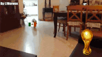 Reenactment GIFs - Get the best gif on GIFER