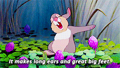 Great big feet GIF - Conseguir o melhor gif em GIFER