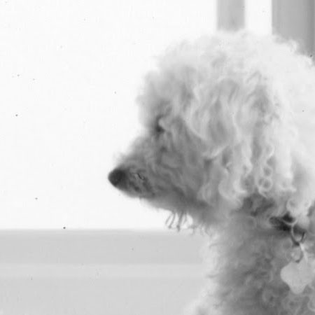 Famouspeoplereading GIF - Conseguir o melhor gif em GIFER