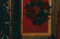 Reveal GIFs - Get the best gif on GIFER