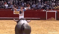 Bull GIFs - Get the best gif on GIFER