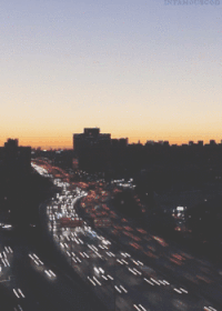 California GIFs - Get the best gif on GIFER