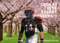 Appeal GIFs - Get the best gif on GIFER