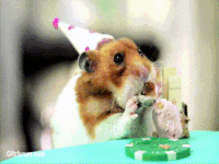 Sprout GIFs - Get the best gif on GIFER