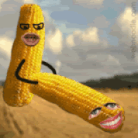 Corn GIFs - Get the best gif on GIFER